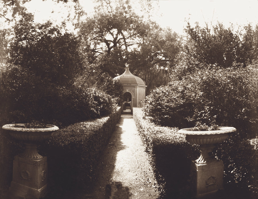 Pinhole Garden - Longstreet Collection