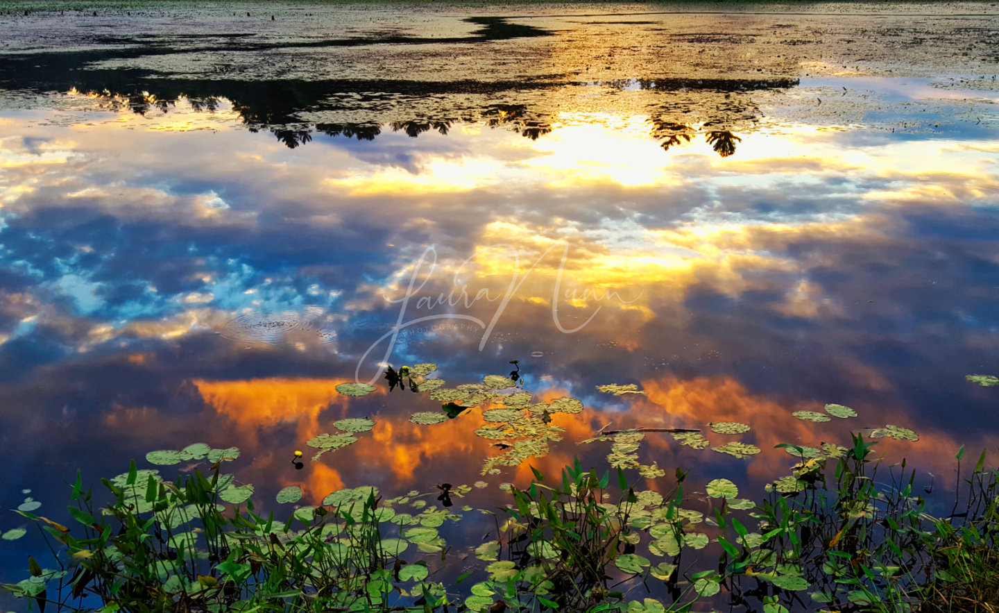 Reflections & Abstract Photo Prints - Laura L Nunn