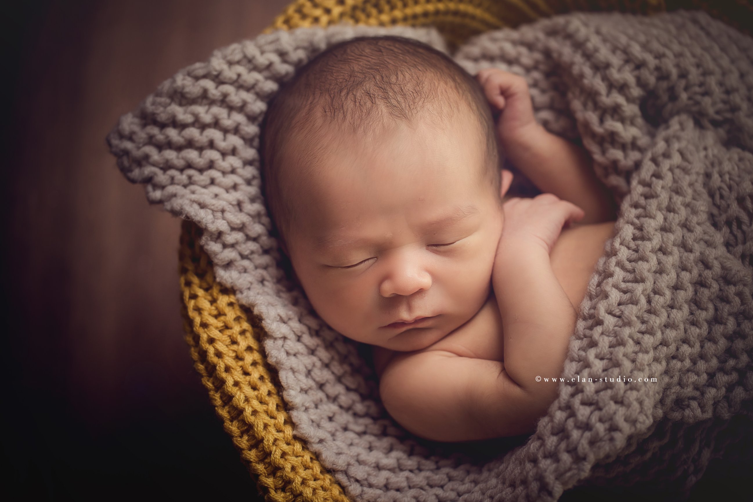 Bristol RI Newborn Photography Gallery | Elan Studio