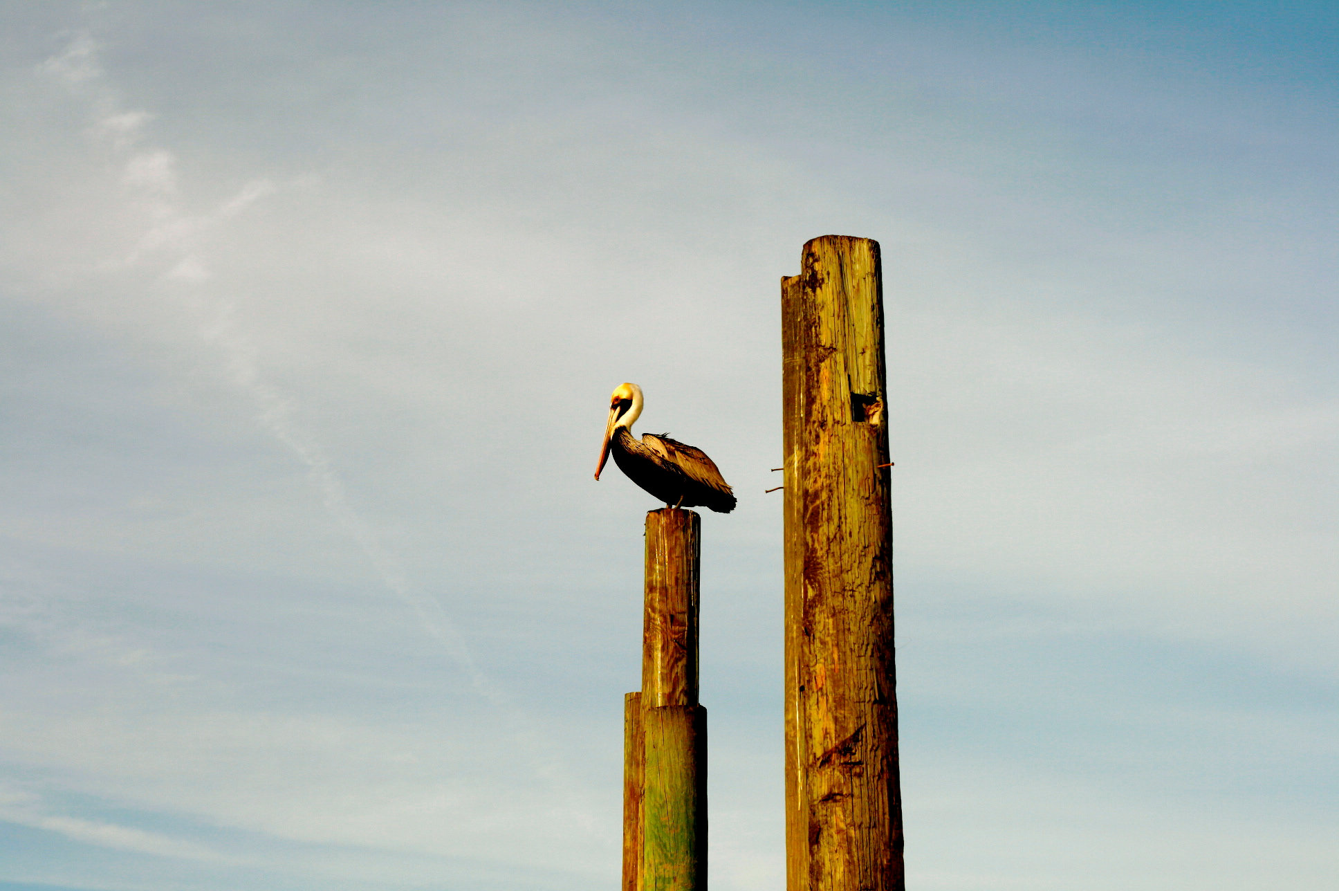 Wilmington and Beaches CVB - Gypsy Pye Photography