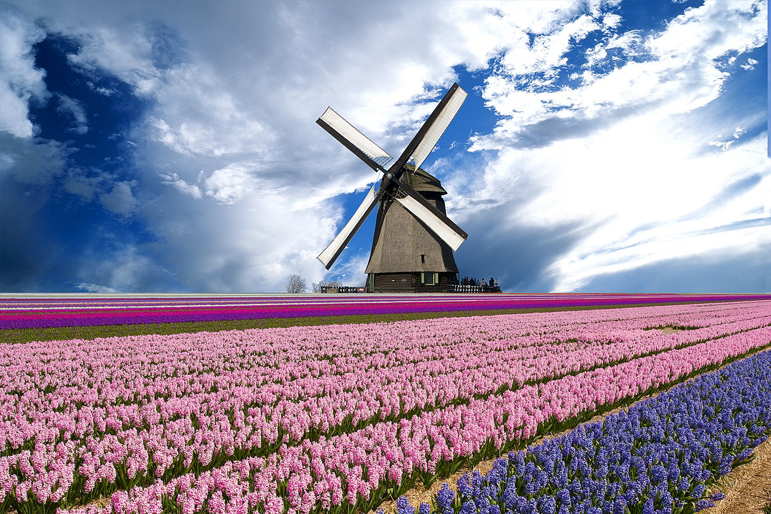 Holland - Jim Zuckerman photography & photo tours