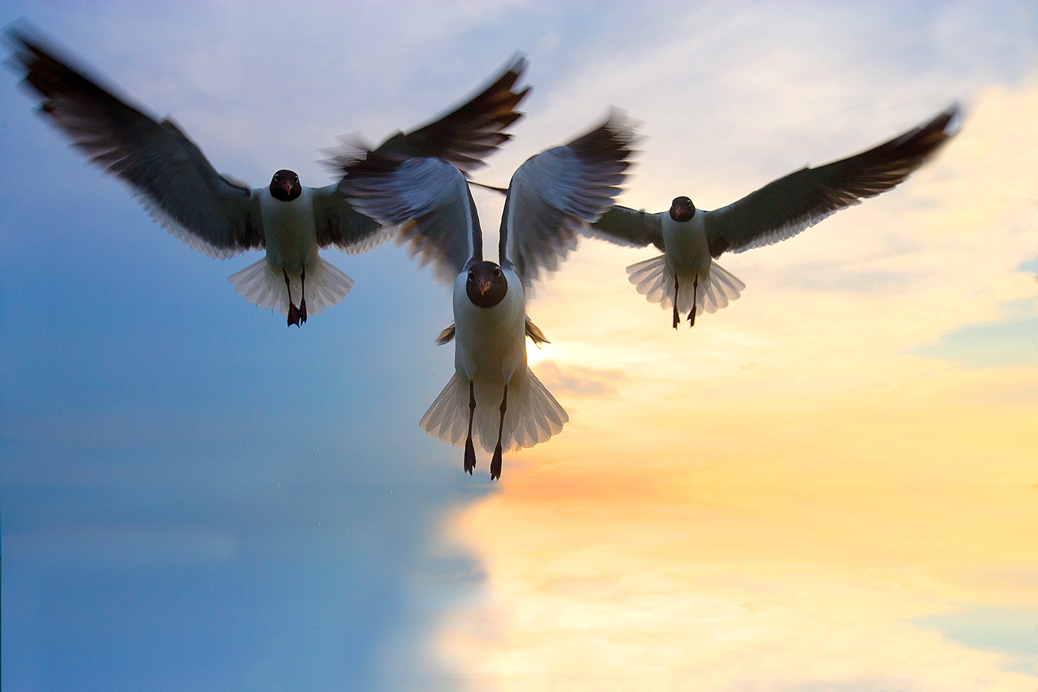 How did I get this shot? - Jim Zuckerman photography & photo tours