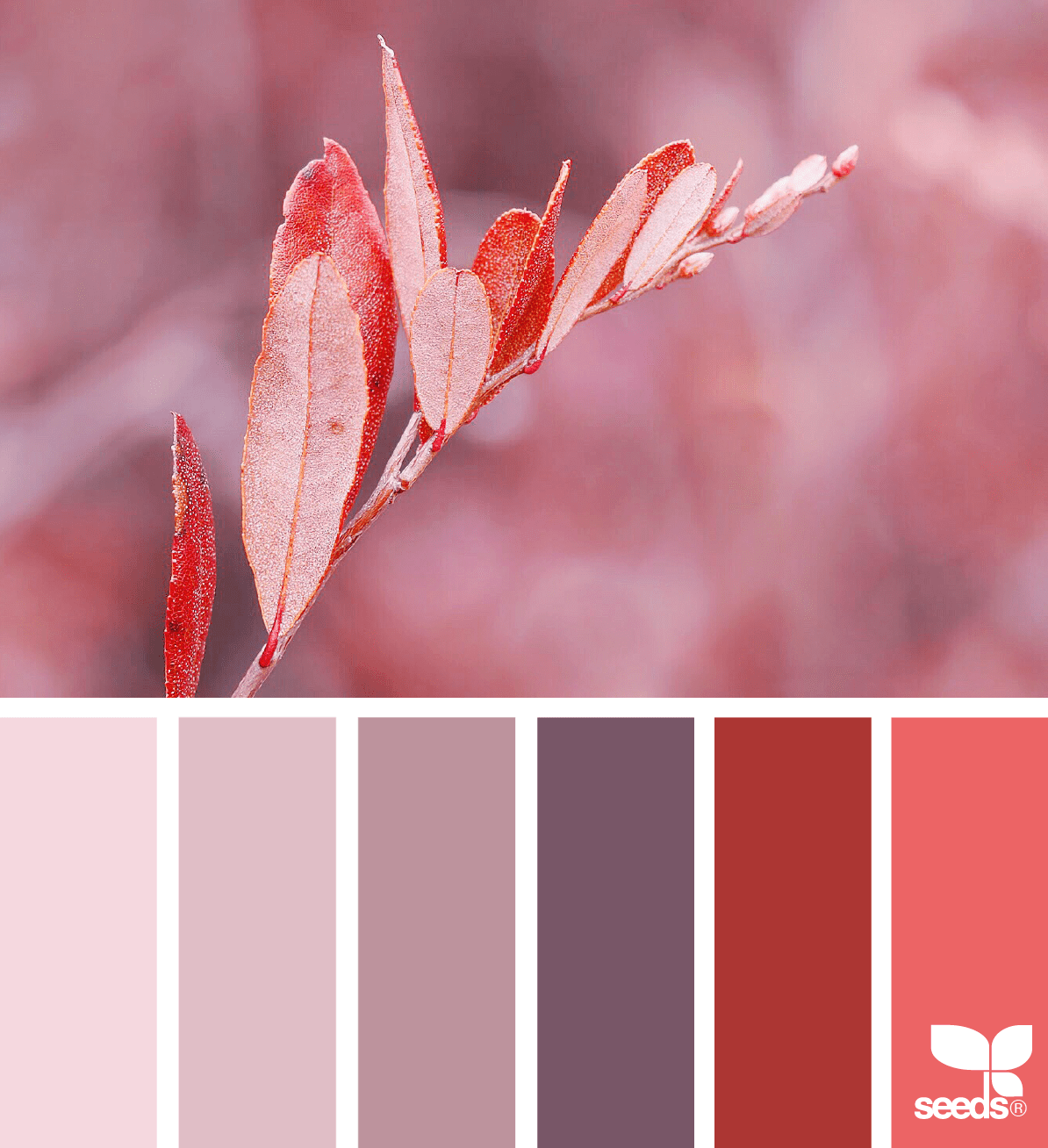 5 Big Color Trends for Spring 2020 - Elan Studio