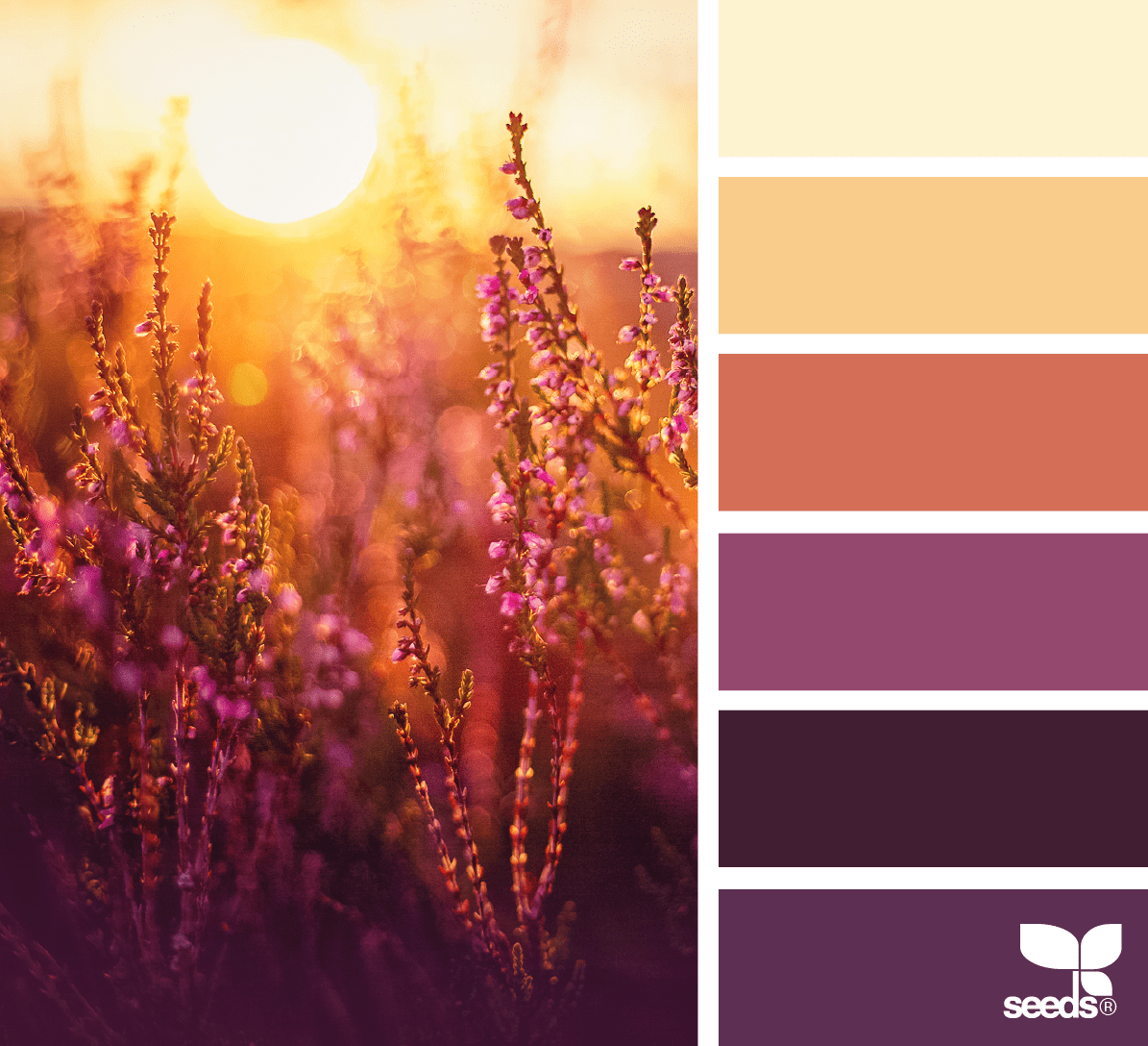 5 Big Color Trends for Spring 2020 - Elan Studio