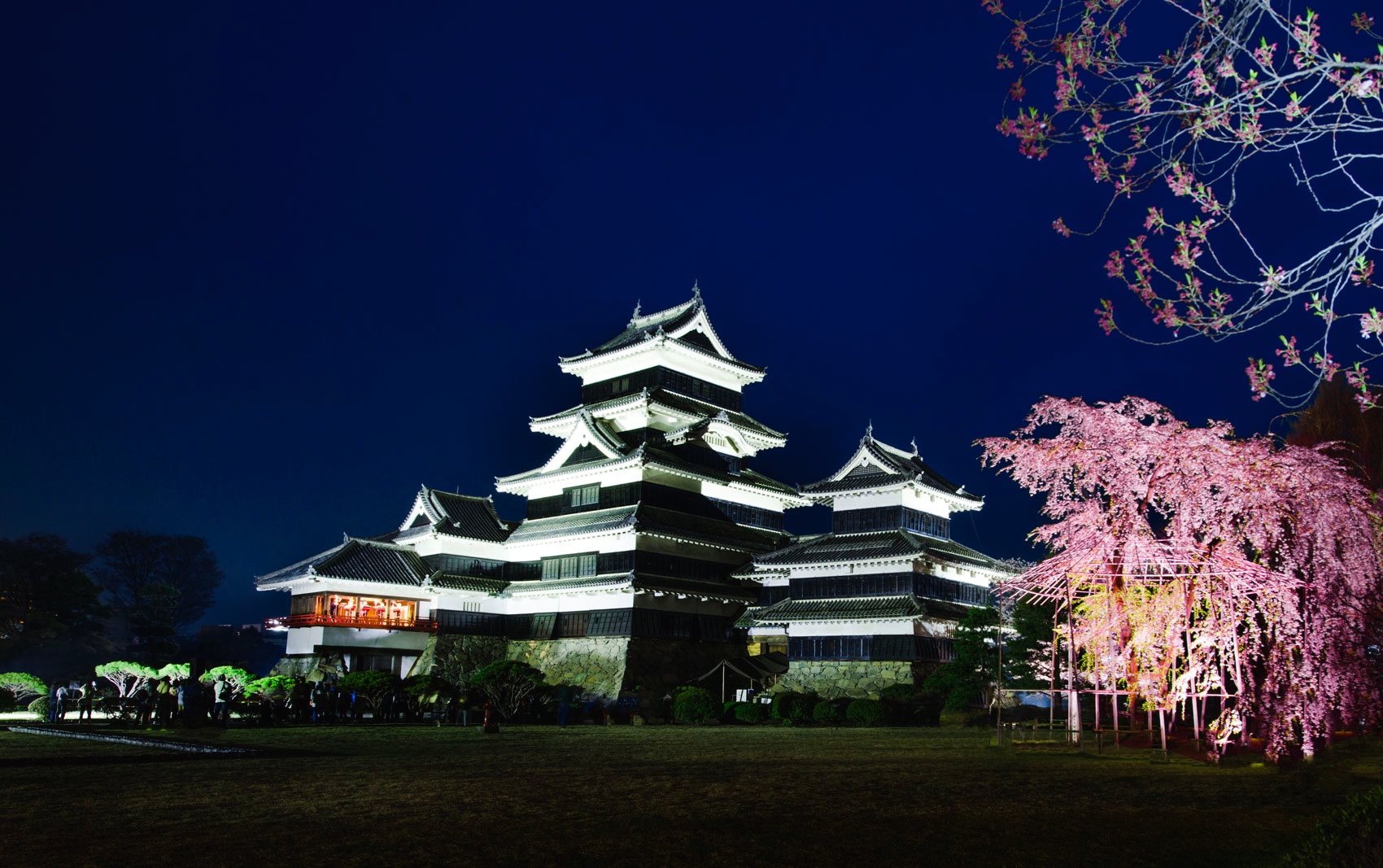 Light Illuminations Photography In Japan - Blain Harasymiw Photography