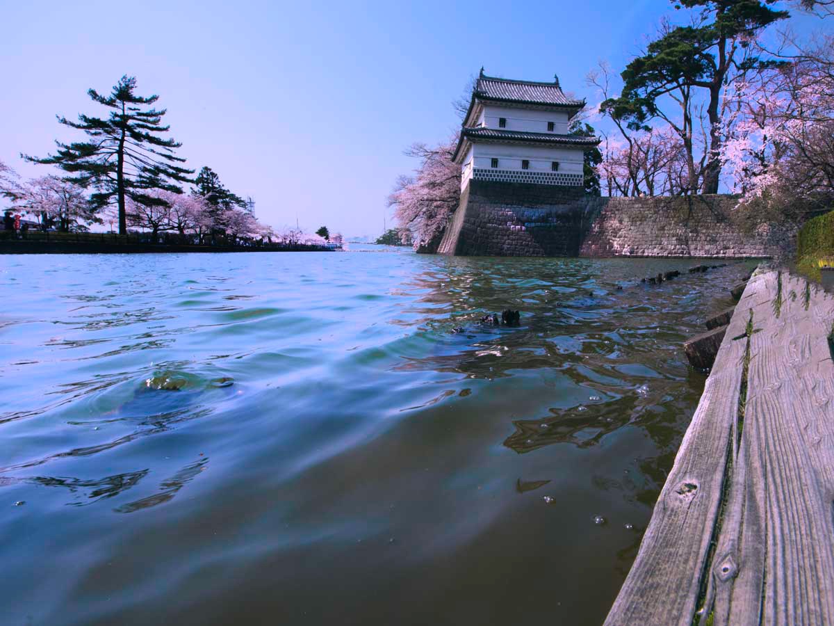 Shibata Castle Happy Hanami 2017 - Blain Harasymiw Photography