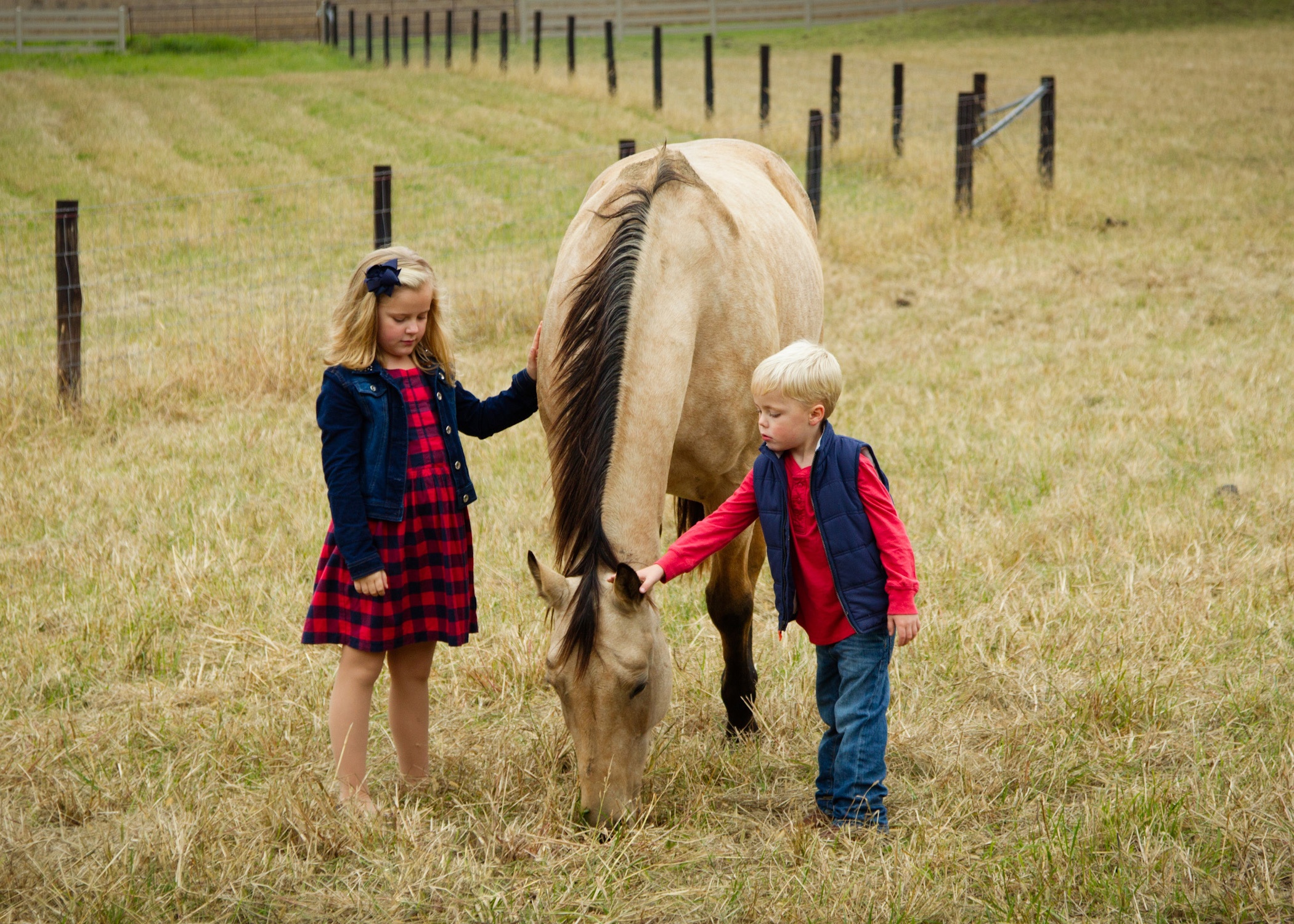 NFocus Photography - nfocus photography