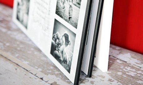 bevel edge gallery mount - EQUINE PHOTOGRAPHY by SUZANNE, Inc.