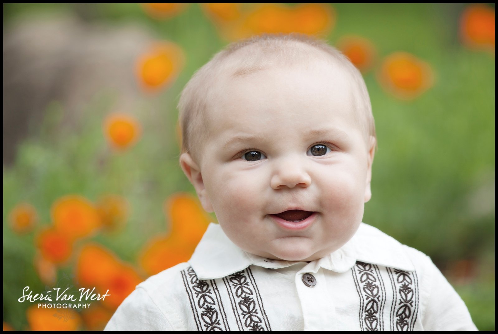 Baby Eli at 6 months :: Loomis, CA :: Horton Iris Garden - Sheri Van ...