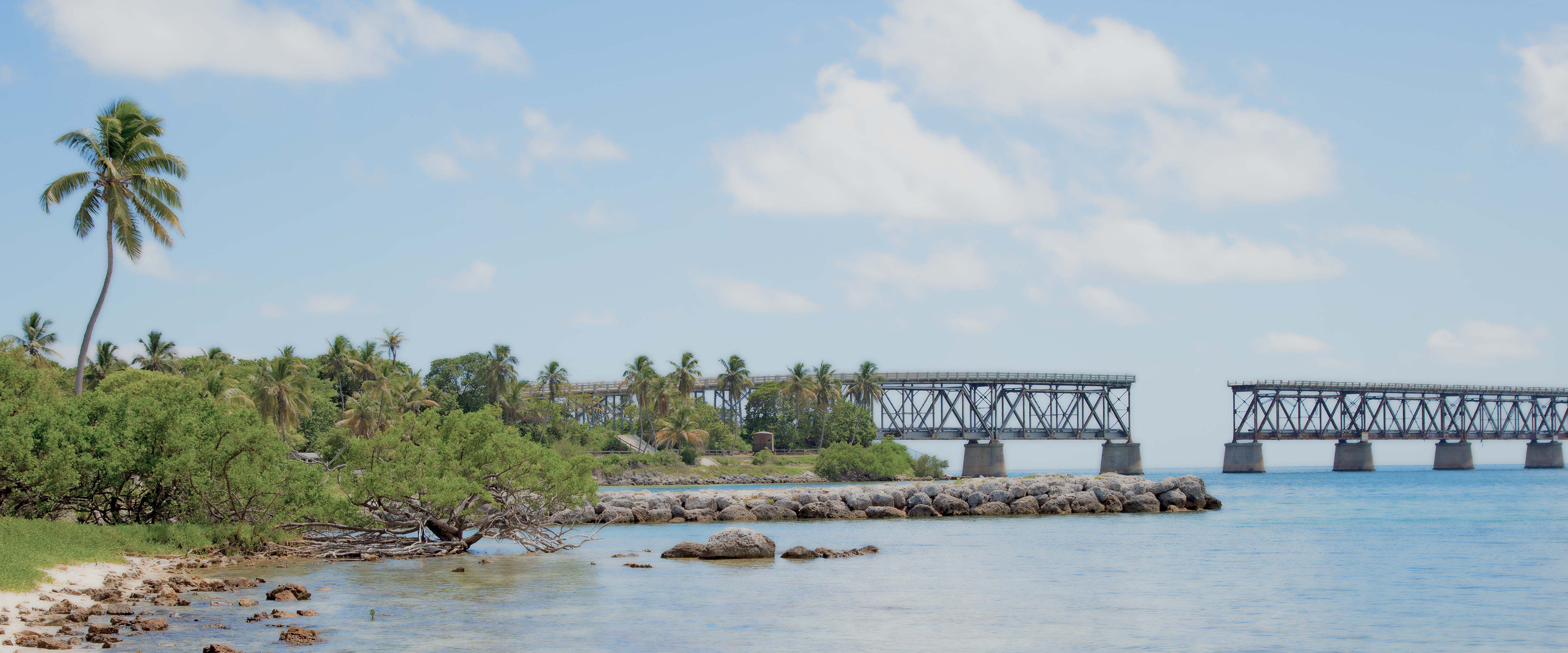 Buy Michael Procaccini Art | Art On Duval Key West