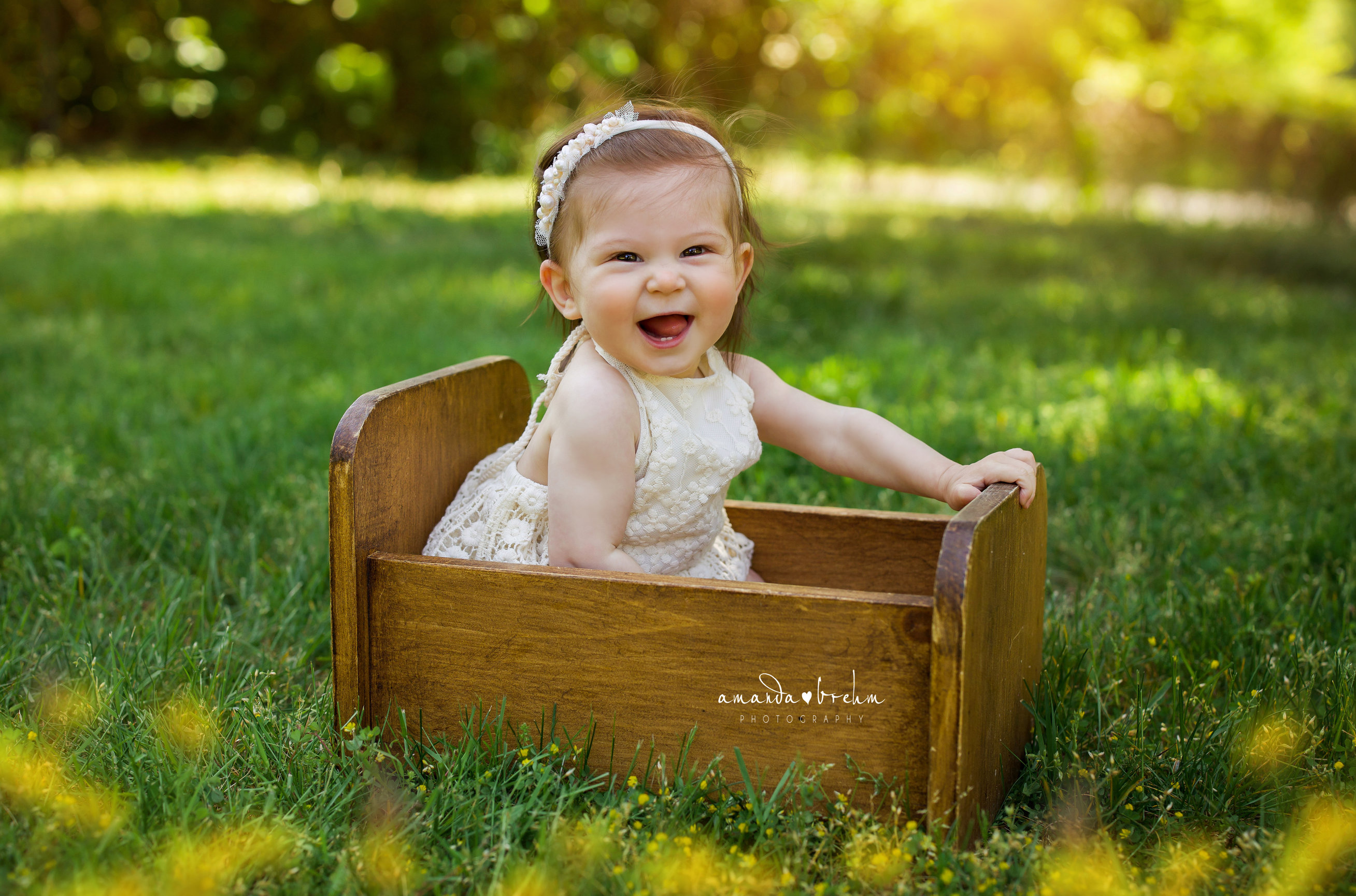 Milestone Sitter - Amanda Brehm Photography