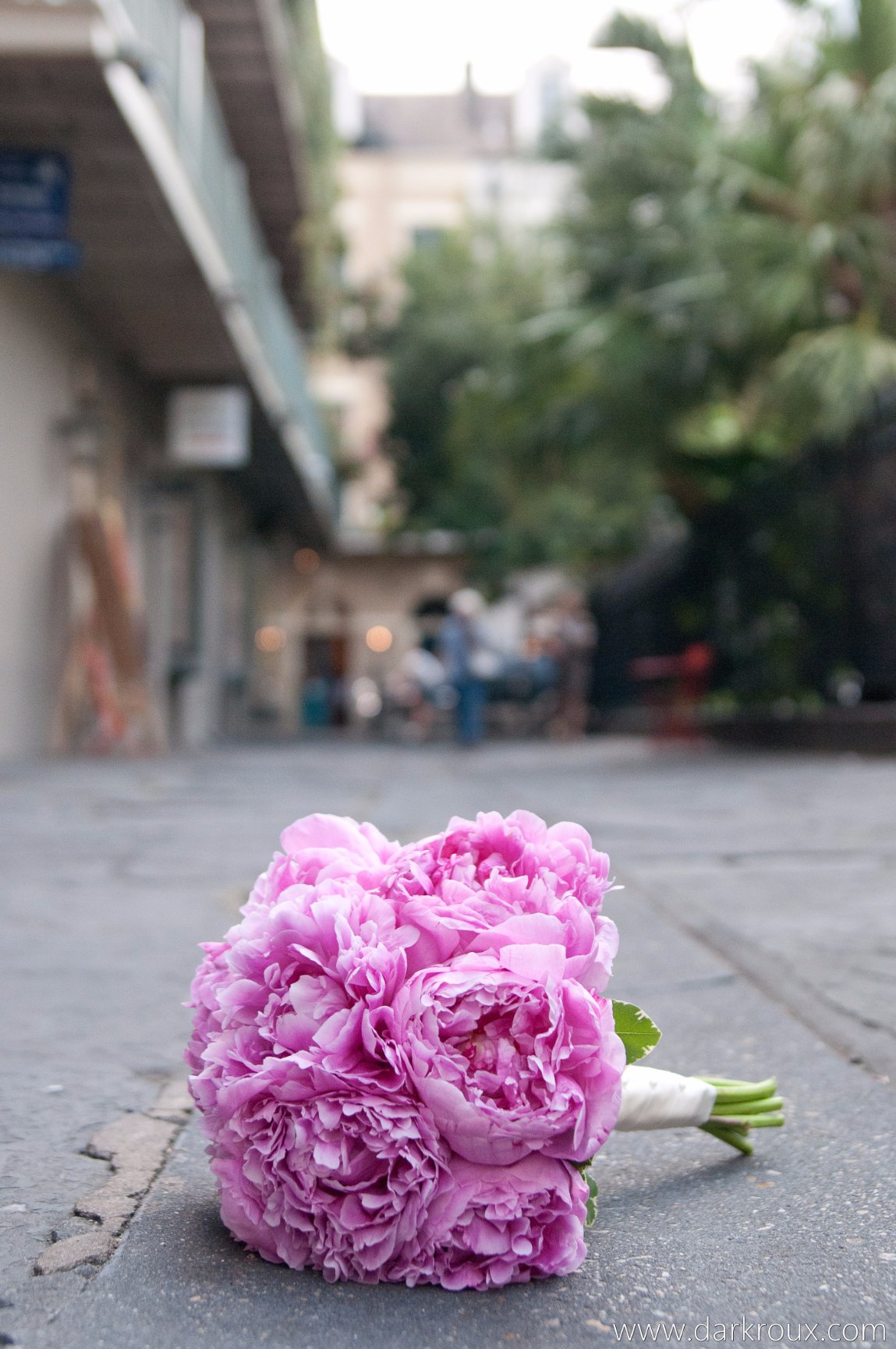bridal bouquets - NOLA FLORA