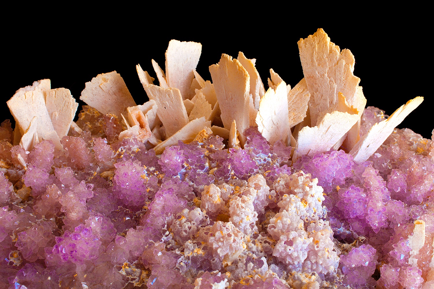 Patterns of Nature - Jim Zuckerman photography & photo tours