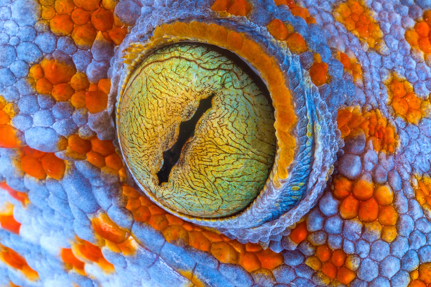 Cloning out unwanted reflections - Jim Zuckerman photography & photo tours