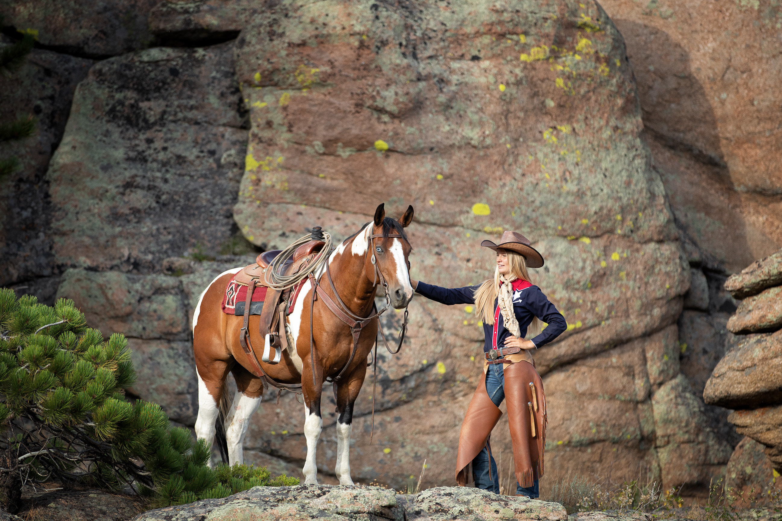 Dallas TX Equine & Equestrian Gallery | Penny Whistle Photography