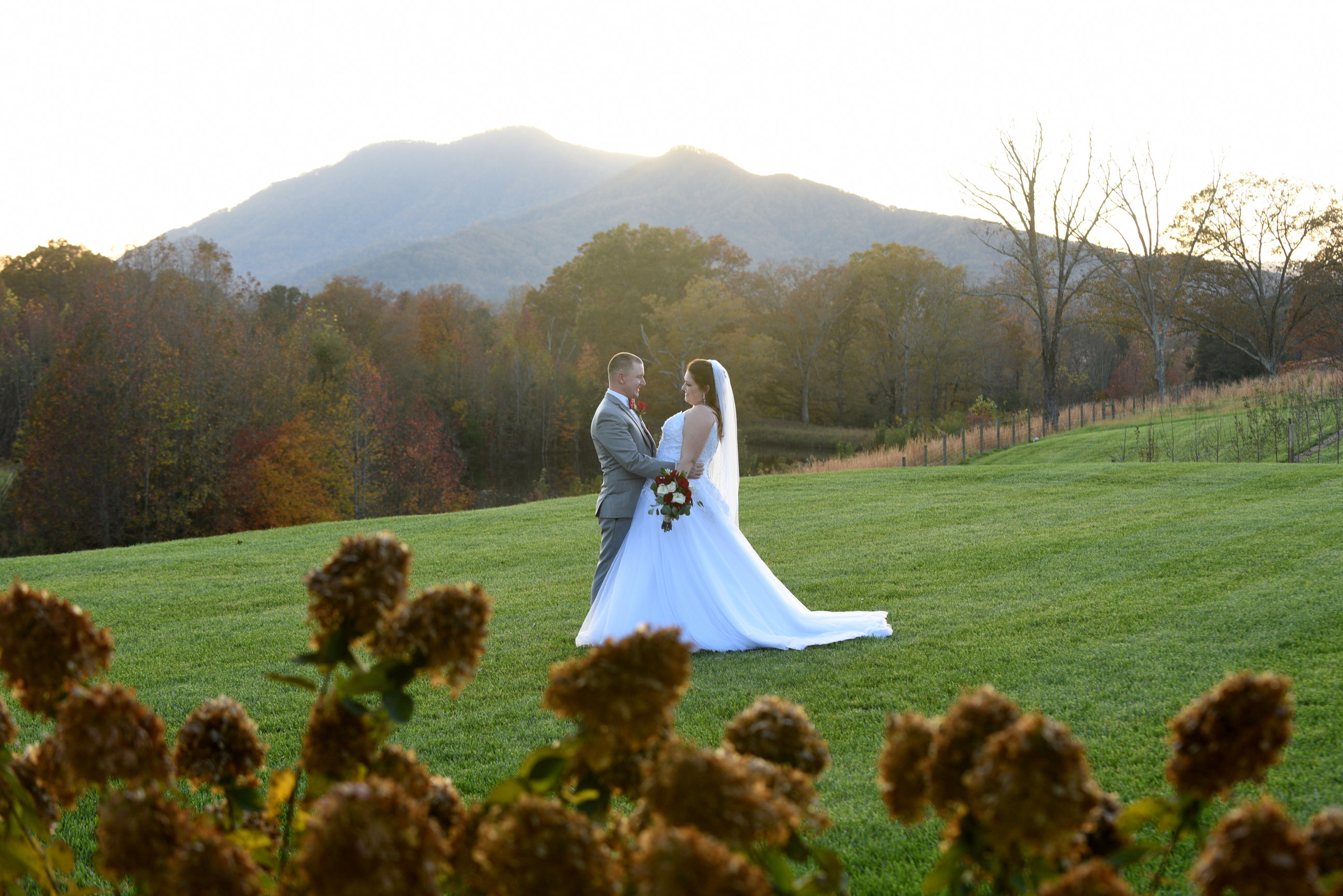 Mike Gibson Photography