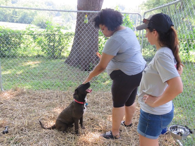 Our Kennel Kru Dogs - Break the Chain Kennel Kru