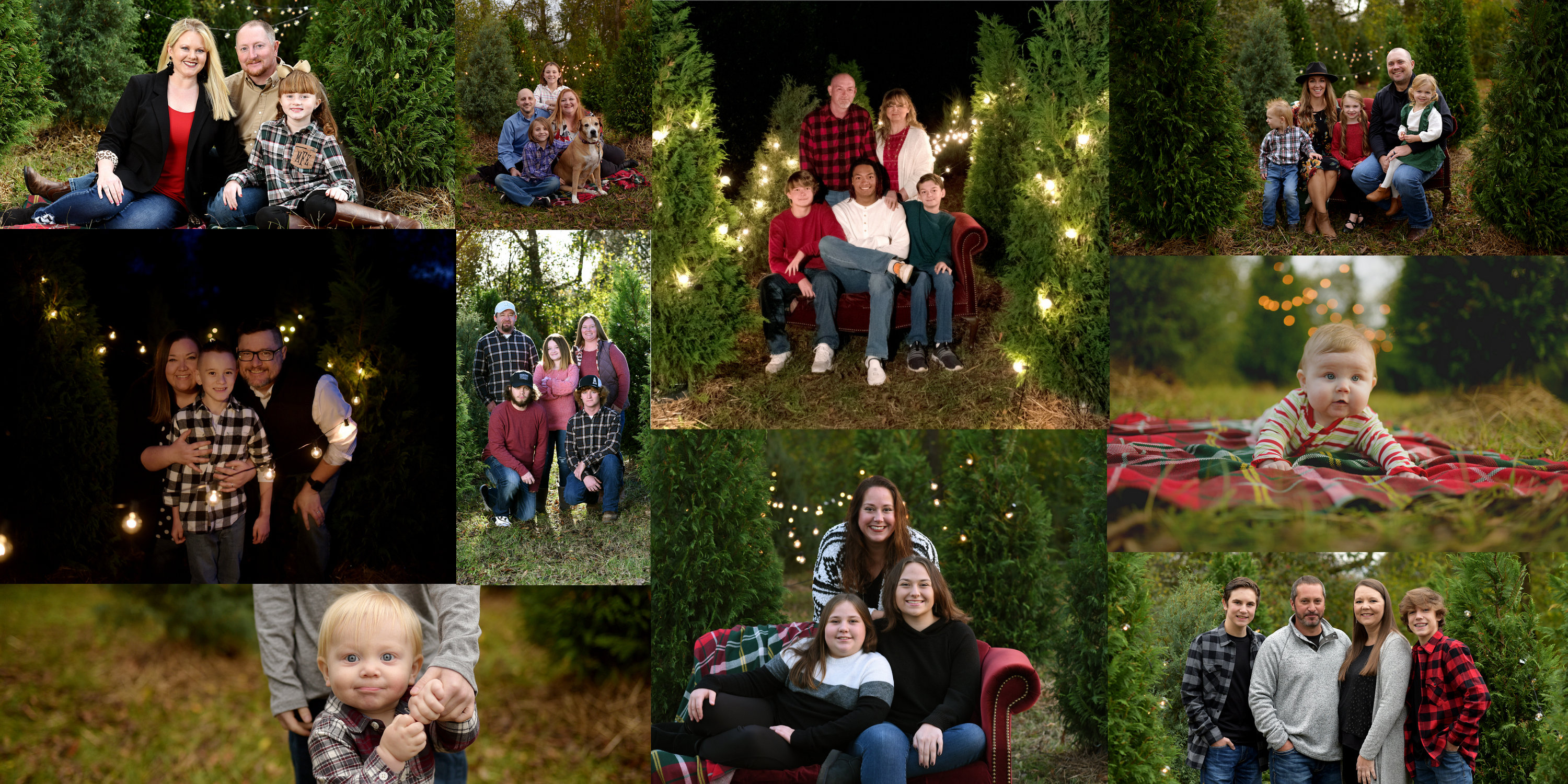 Home - Jackie Romine Photography Inc.