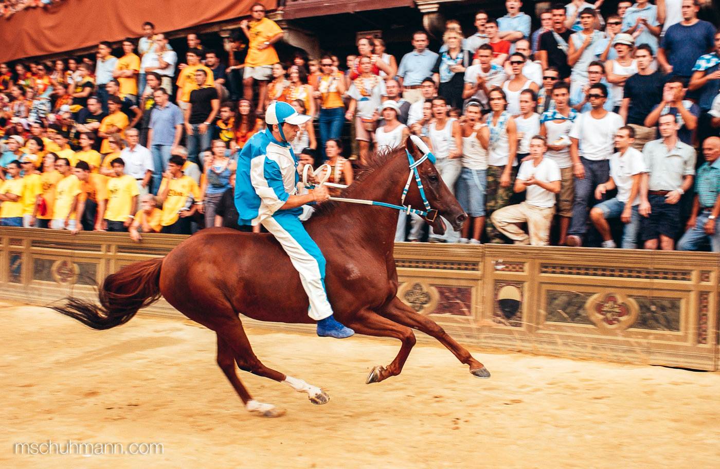 palio-02 - michael schuhmann