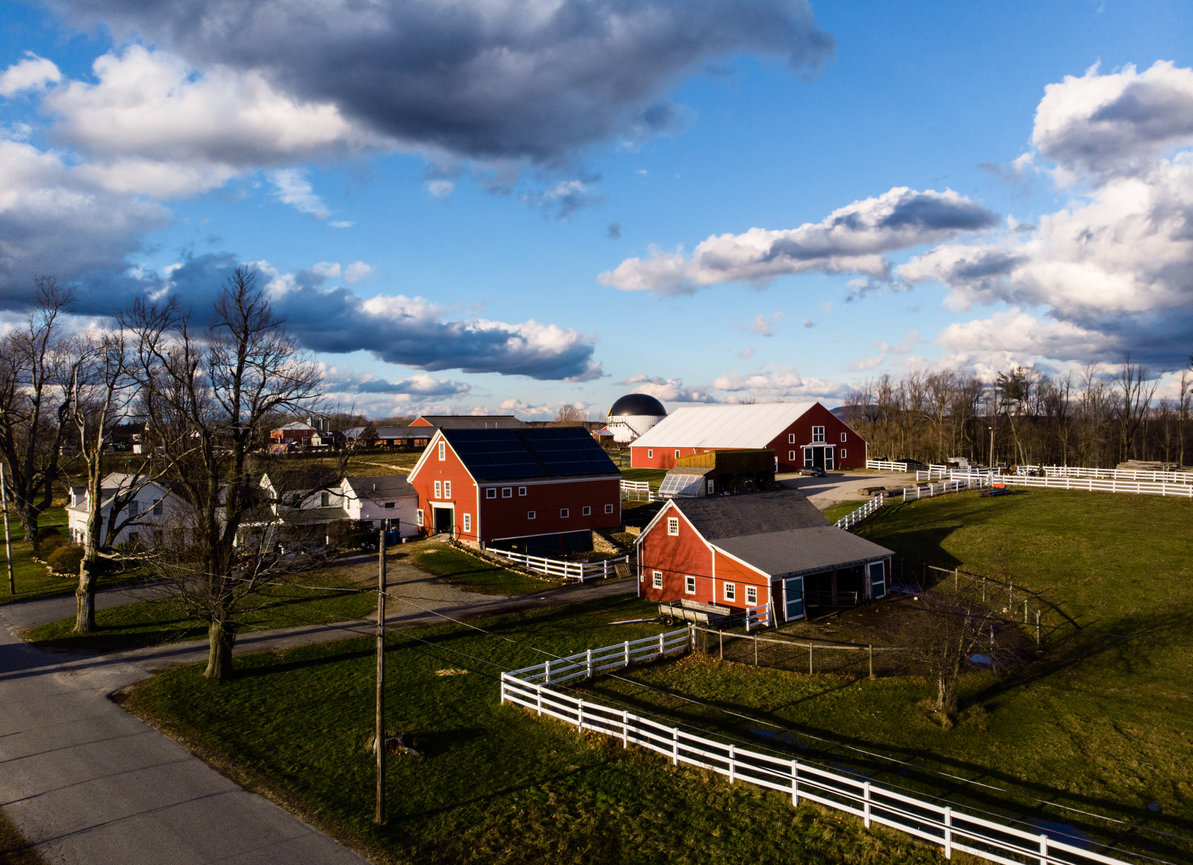 Home [www.mesafarmrutland.com]