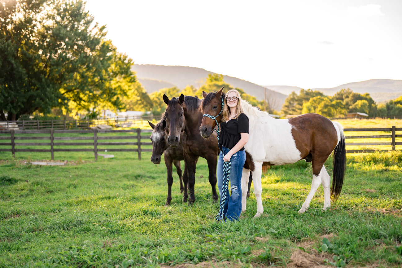 Investments - SP Photography