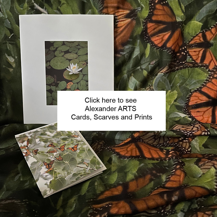 HOME - John M Alexander