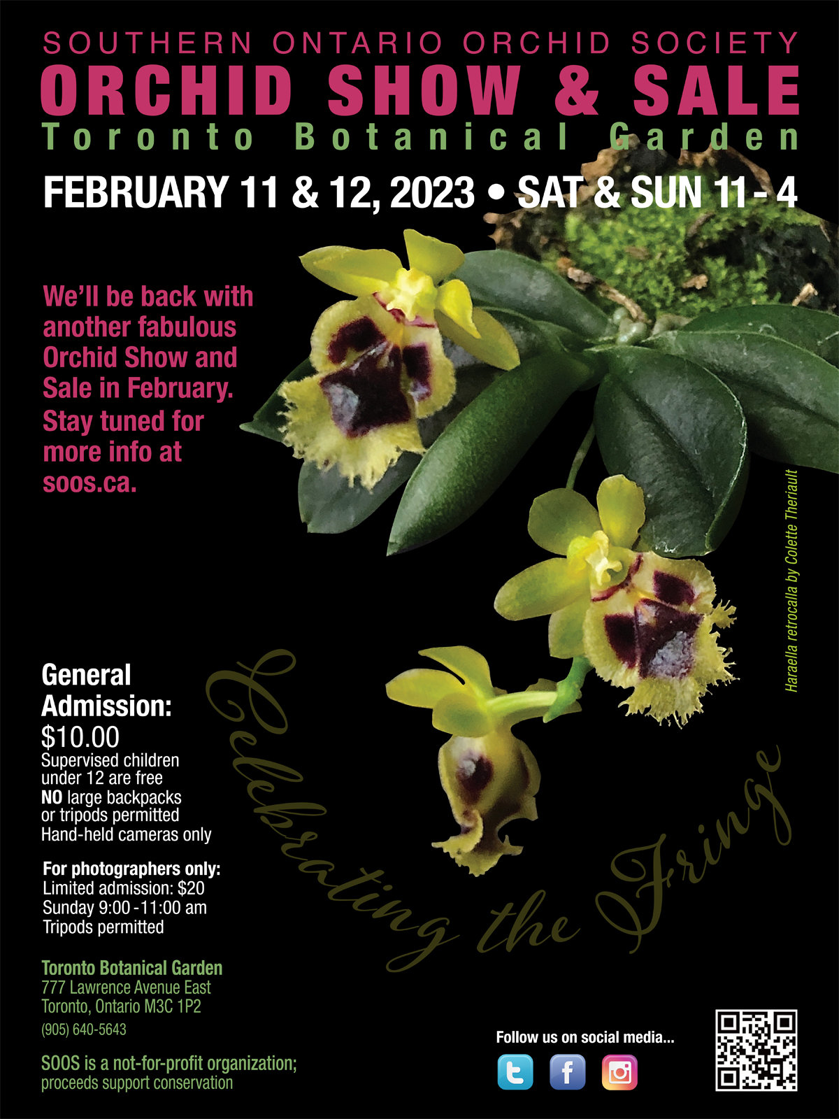 It's Show Time! - John M Alexander