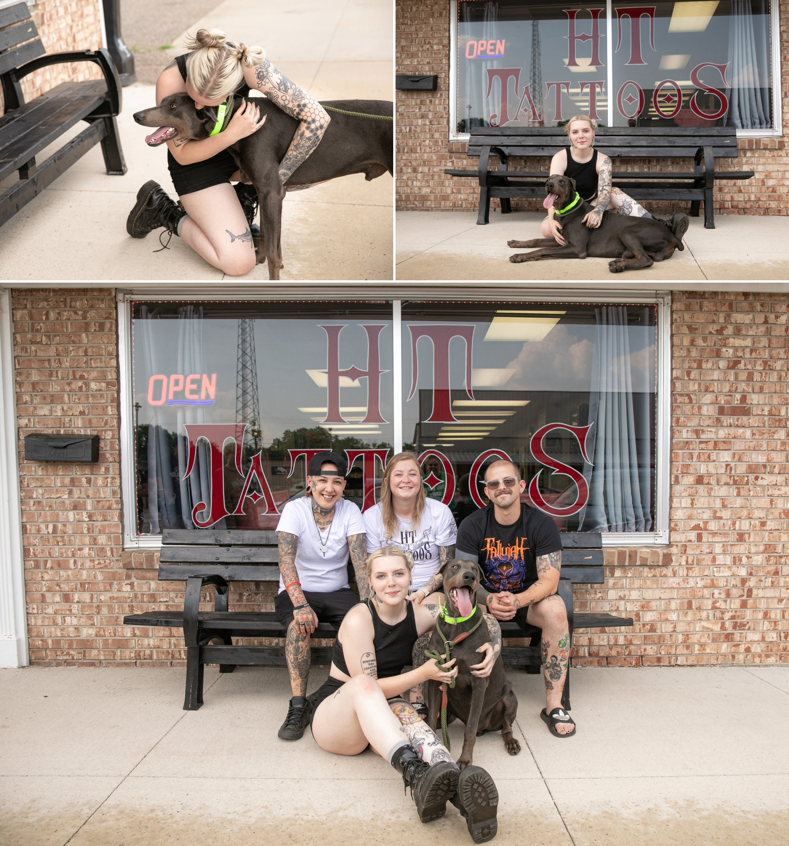 Community Spotlight: Moffitt Animal Shelter - InSite Creatives