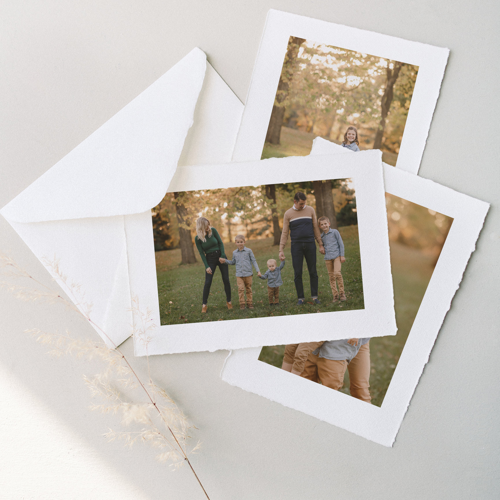 Extended Family Fall Photo Session at Como Park - mQn Photography
