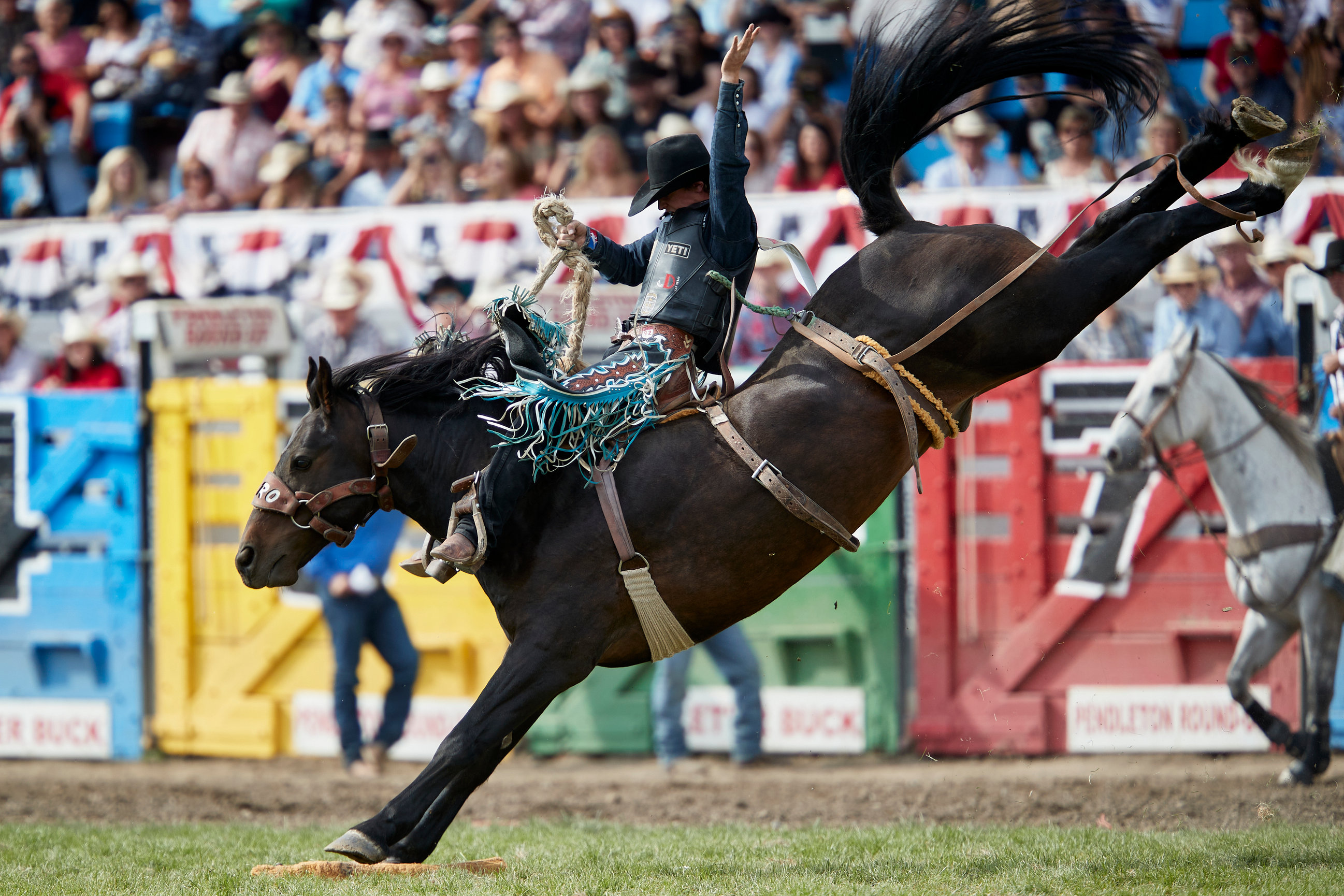 Billie-Jean Duff | Rodeo Photography