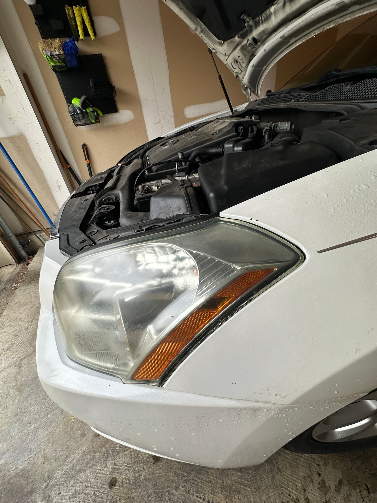 Paint Damage - Fresh Headlights