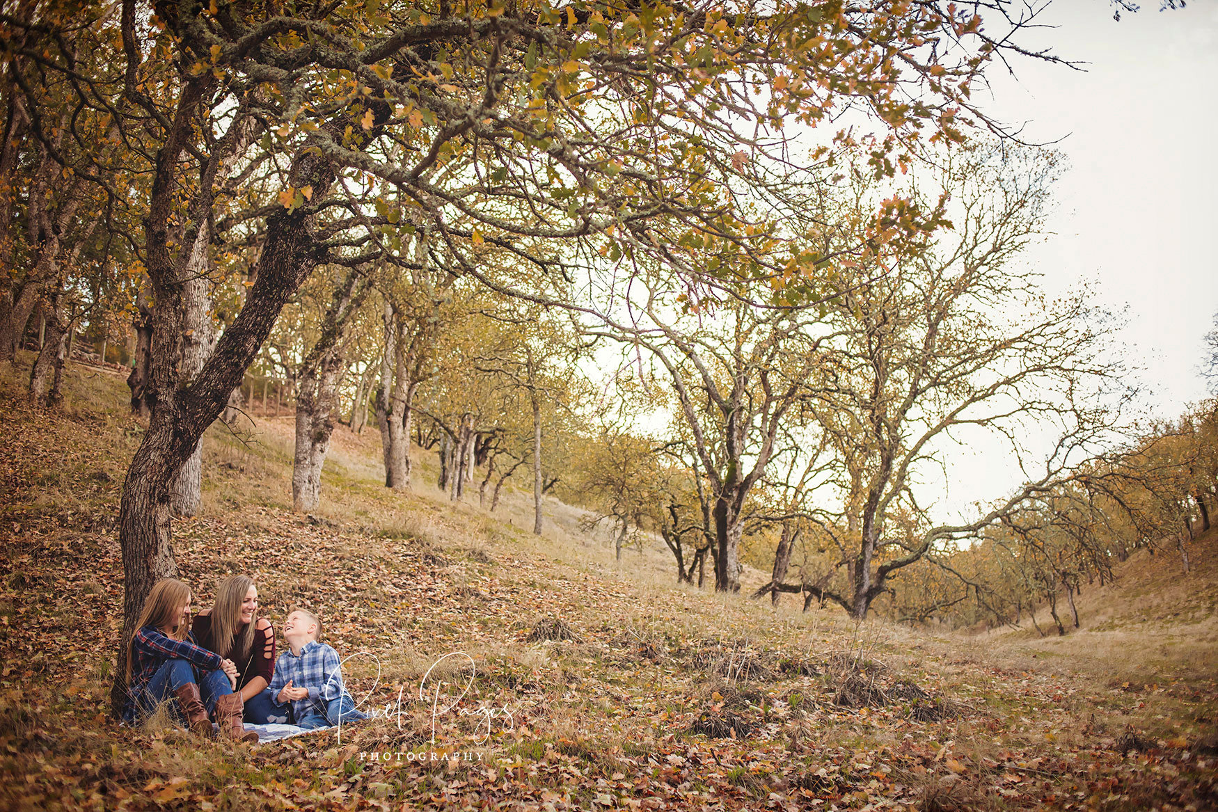 FIVE REASONS FALL IS THE PERFECT SEASON FOR YOUR SAN FRANCISCO BAY AREA ...