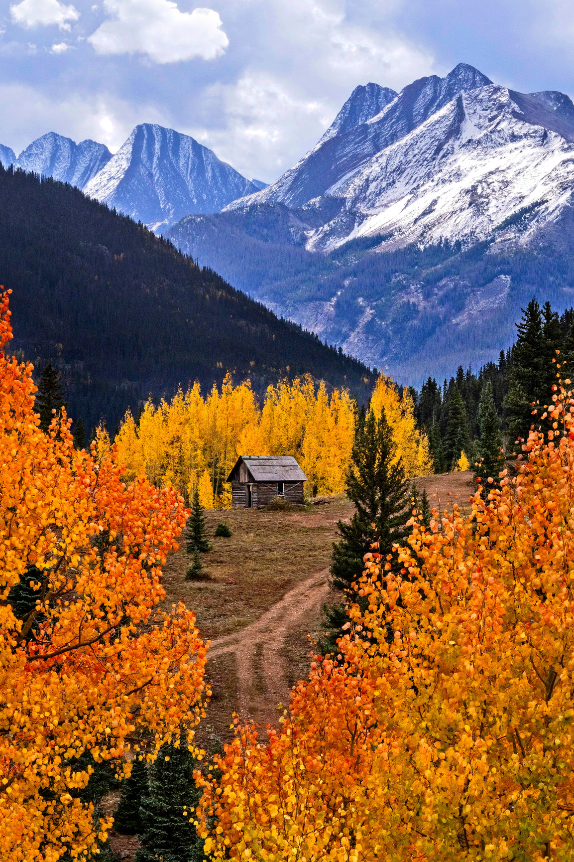 Colorado in the Fall - Nature Exposed Tours