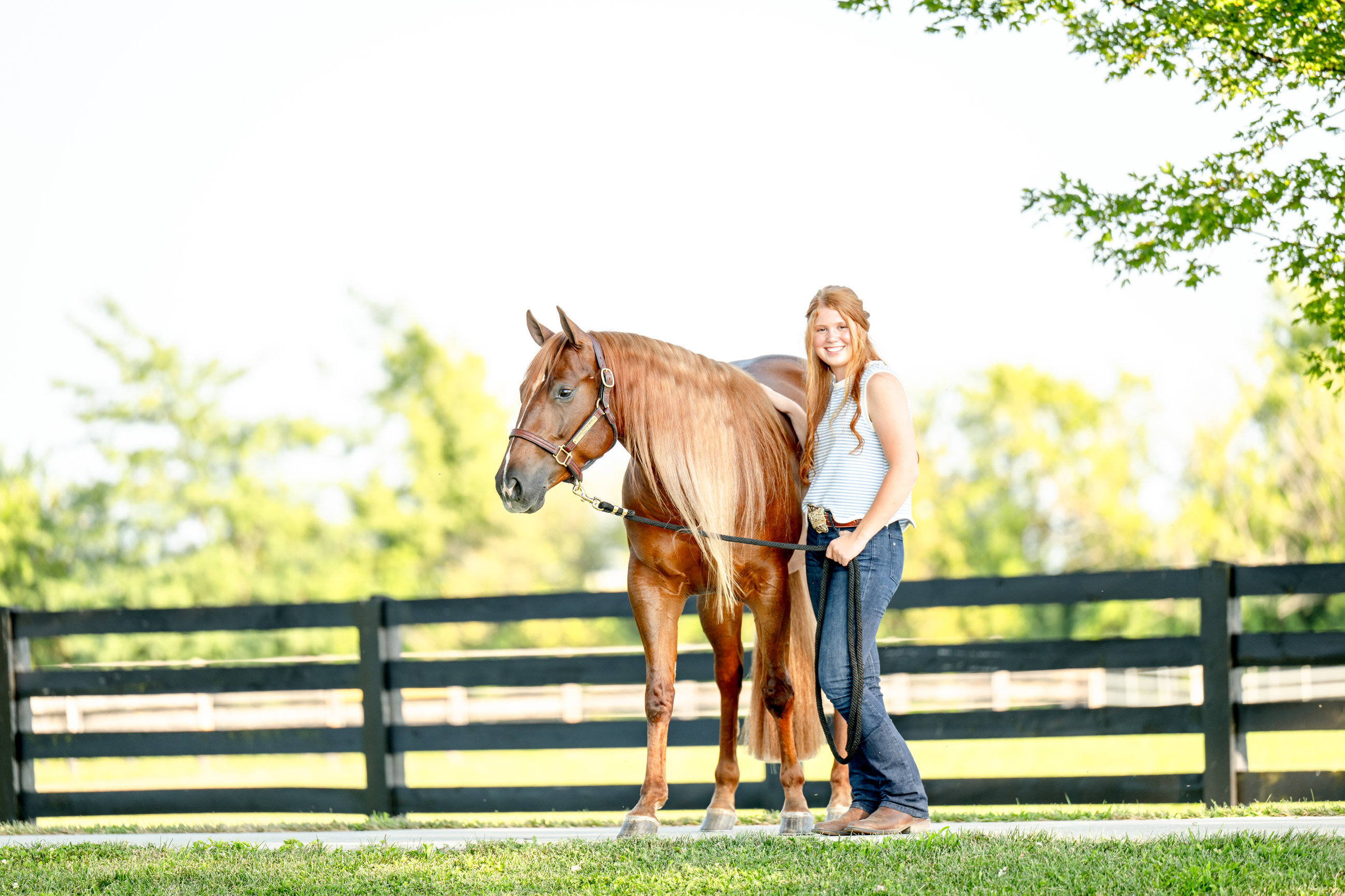 Paisley + Brooke Equine Styled Session - Elaina Eppinger Photography