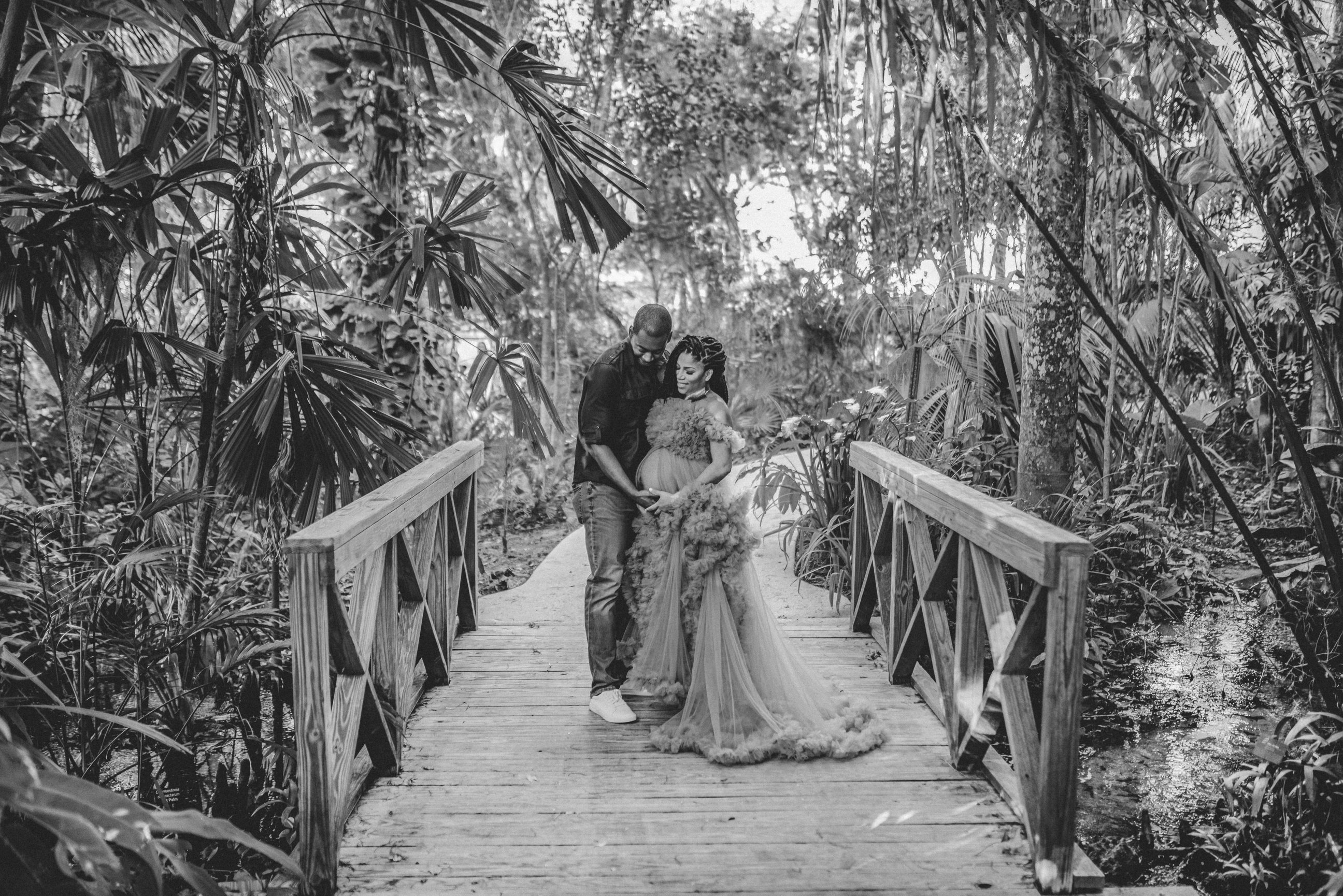 HOME - Palm Portraits Photography