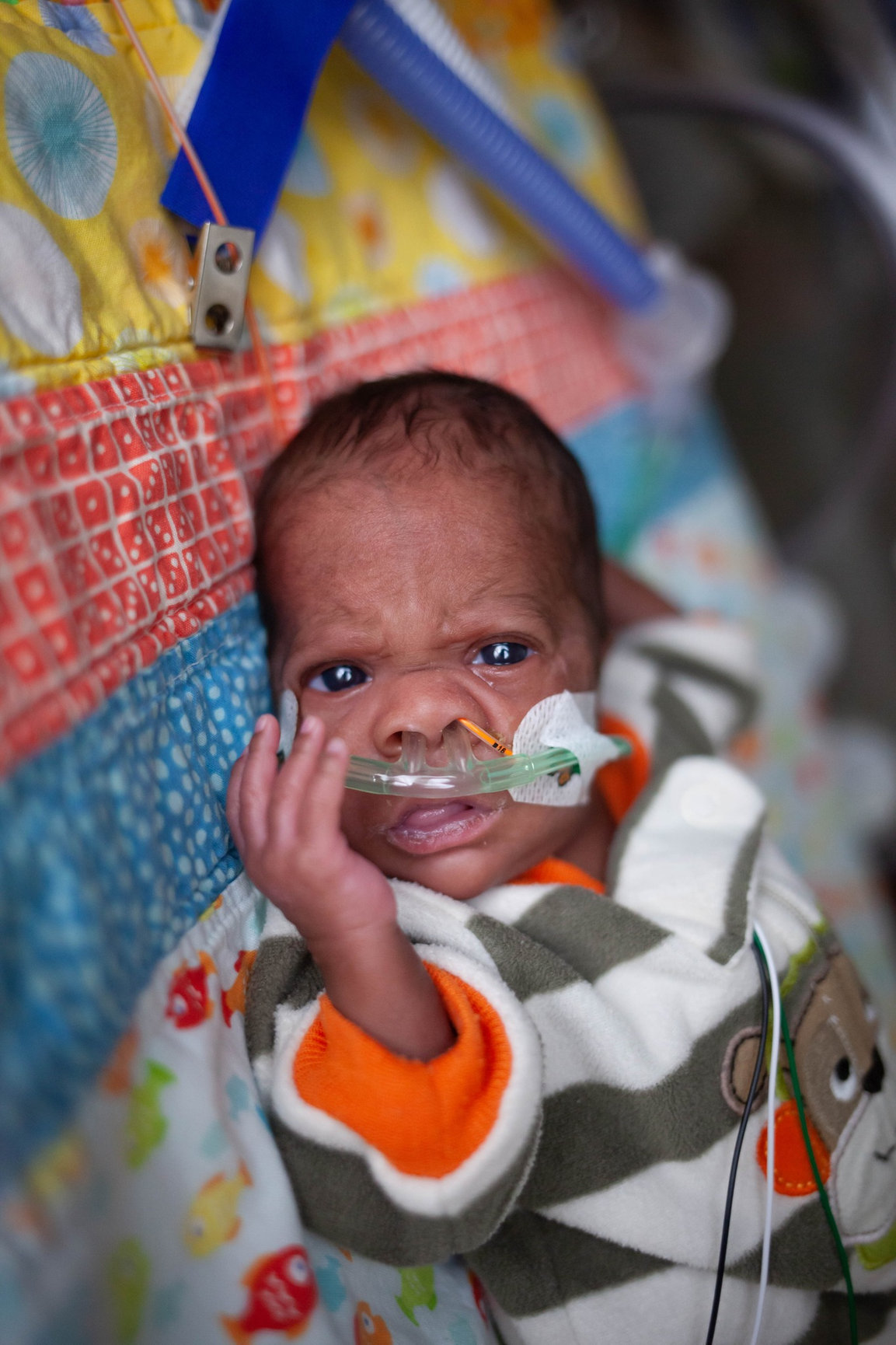 Open a NICU Program - Capturing Hopes