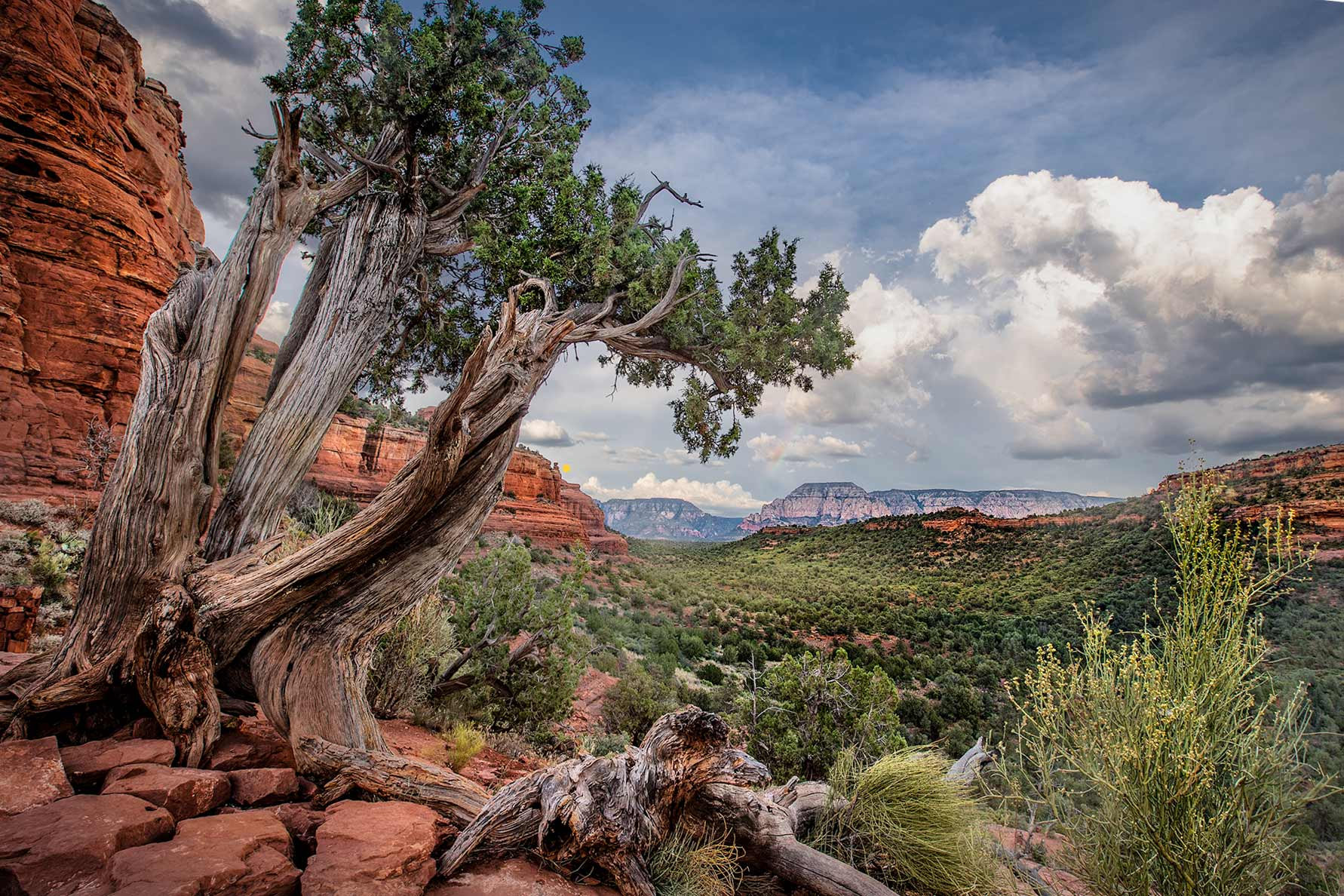 Crooked Photographers - Make Images on the Level