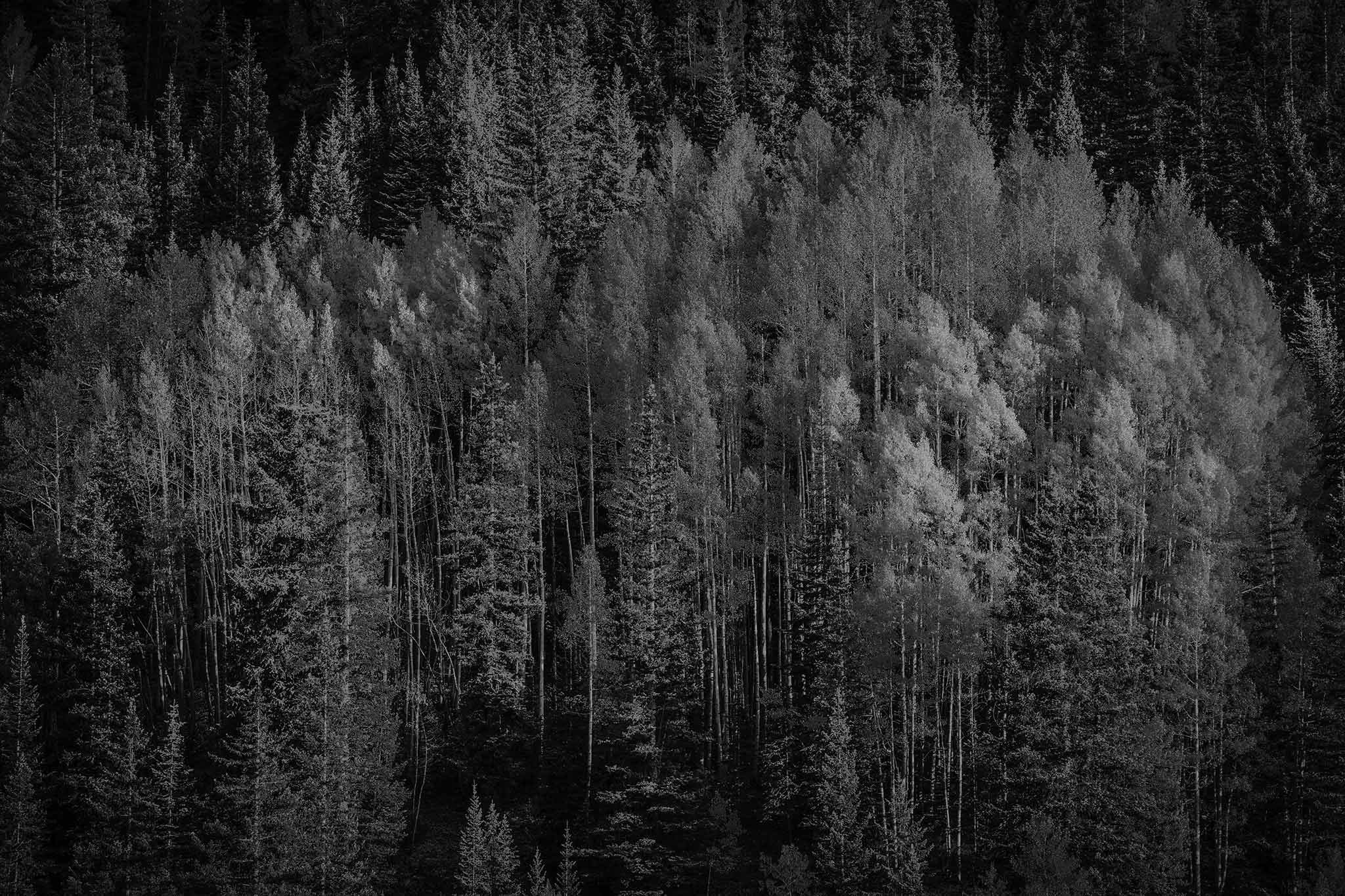 CREATING DEPTH - Rob Strain Fine Art Photography & Workshops