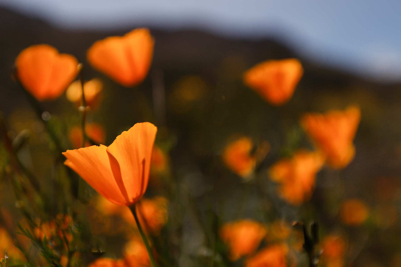 KEEP IT SIMPLE - Rob Strain Fine Art Photography & Workshops