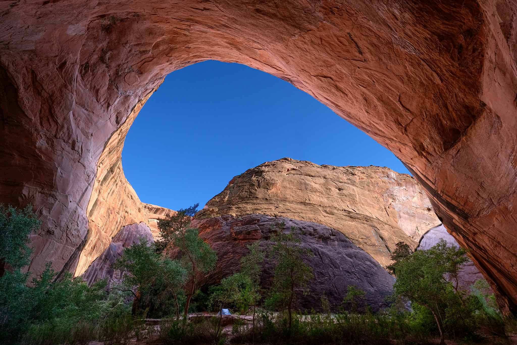 Hiking with Bill - Rob Strain