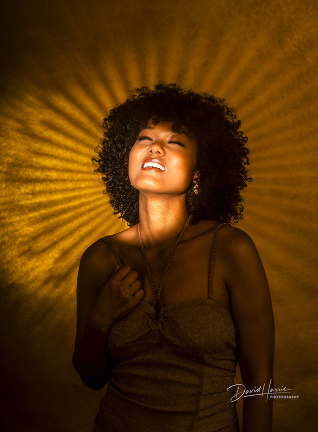 PORTFOLIO - David Harris Photography