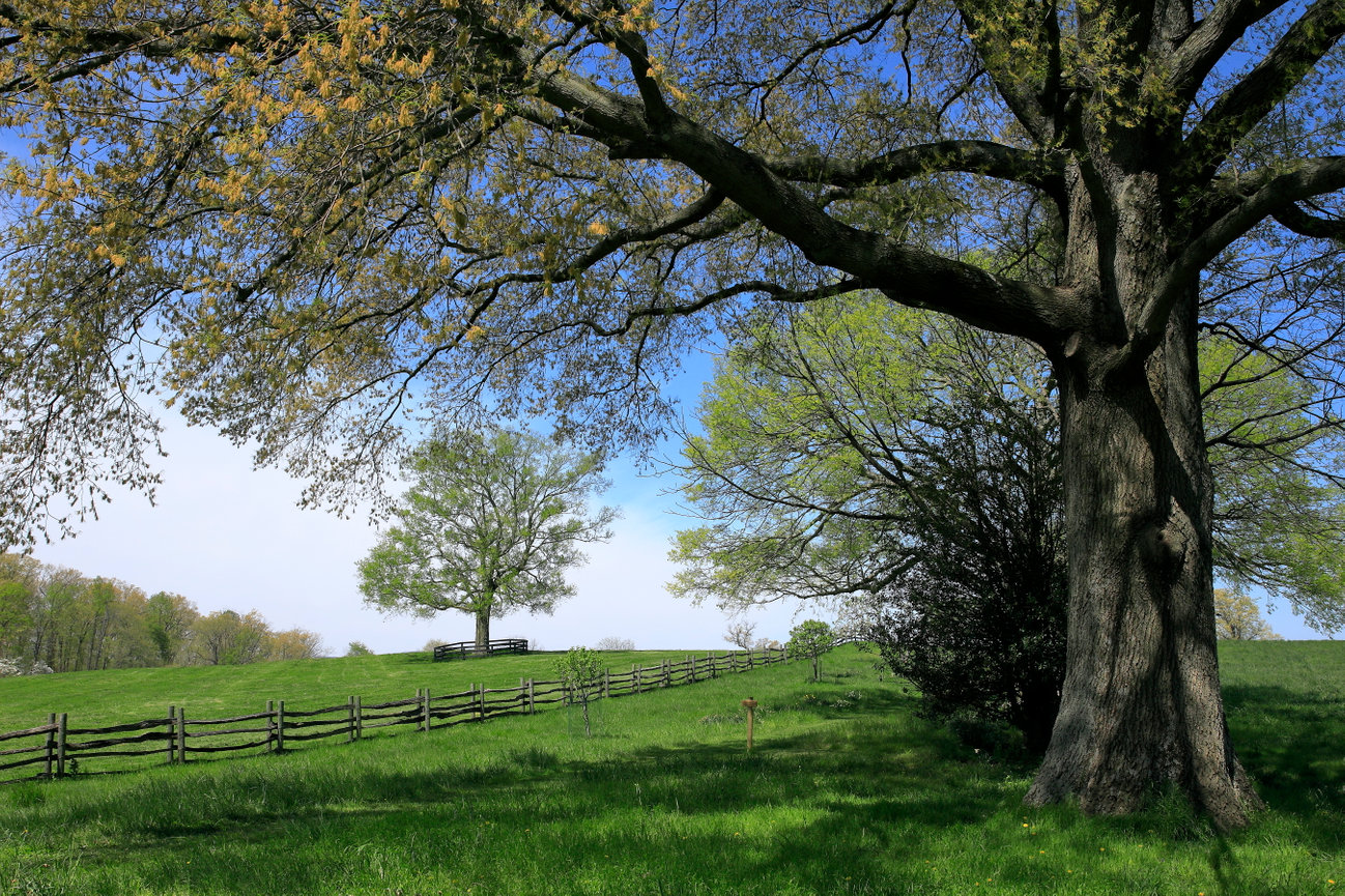 Garden Tour 2021: Oak Spring Farm. Va - JRCook Services Group, LLC