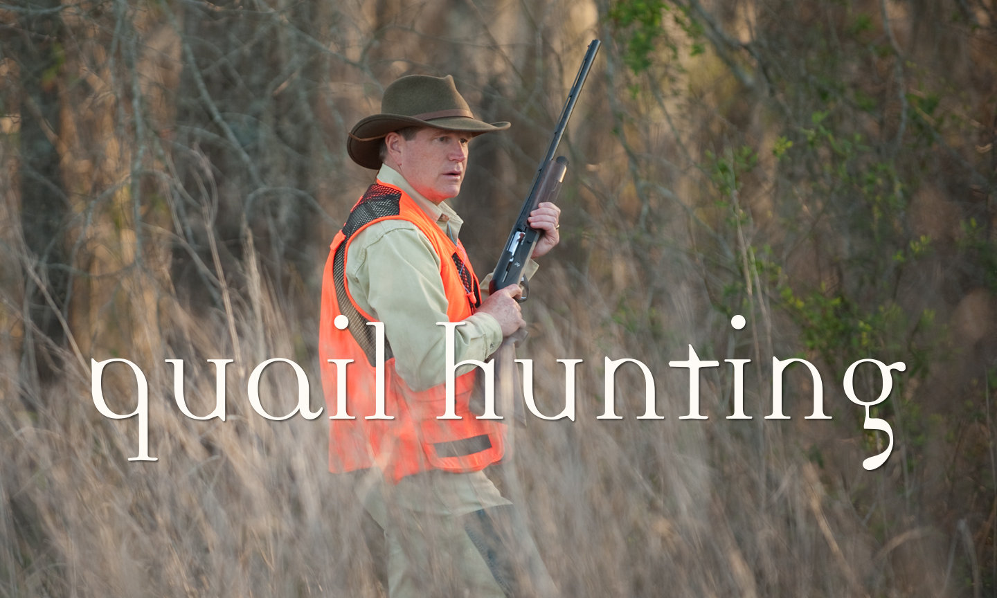Quail Hunting - Chris Mathan Sporting Dogs & Outdoor Images