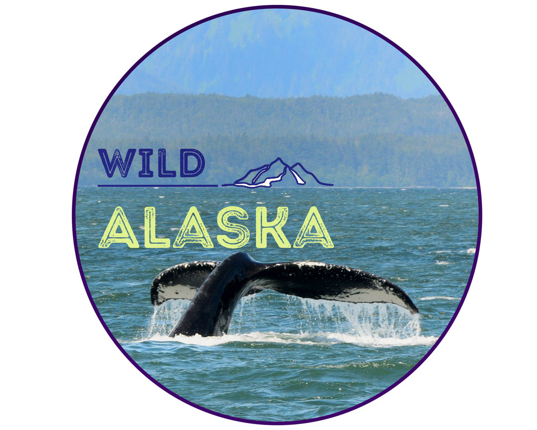Alaska Stickers & Post Cards - Casey B Gent