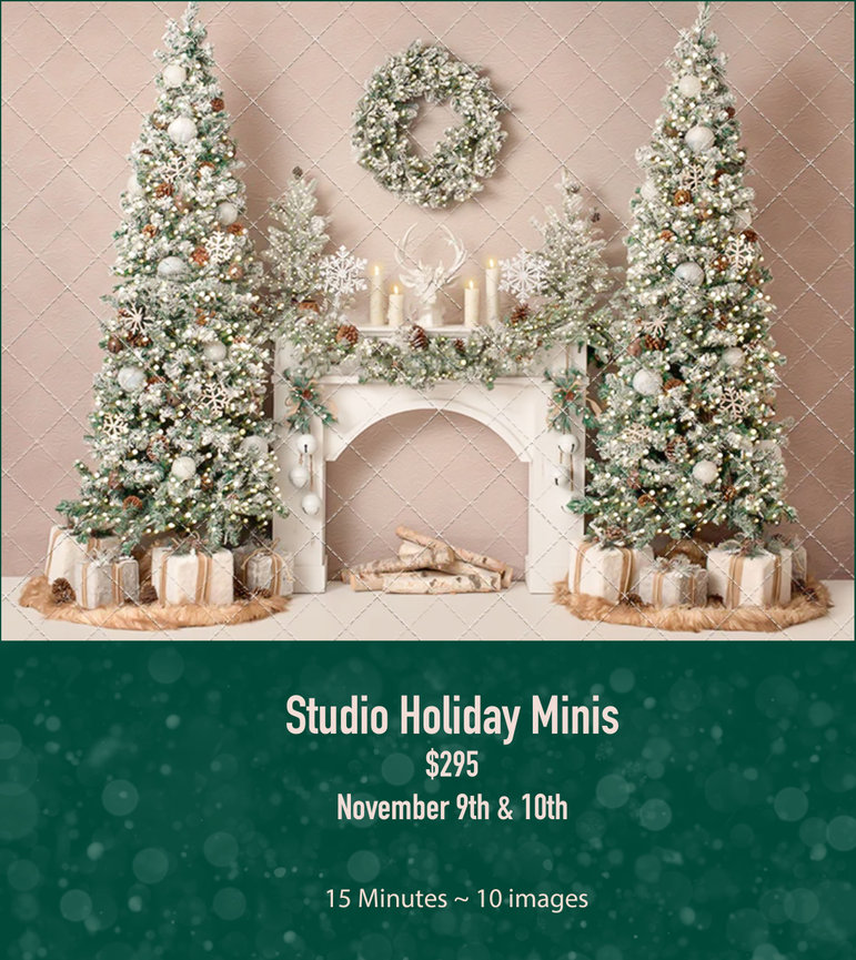 Studio Holiday Mini - Amanda Brehm Photography