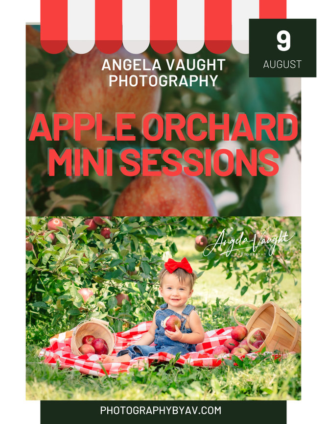 Apple Orchard Mini Session - Photography by Angela Vaught