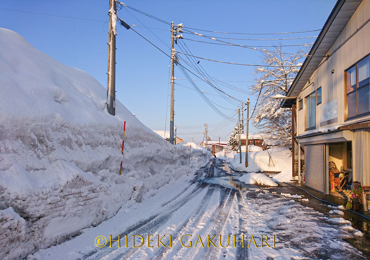 YukiGuni Niigata Tour - A Culinary and Seascape Photography Destination ...