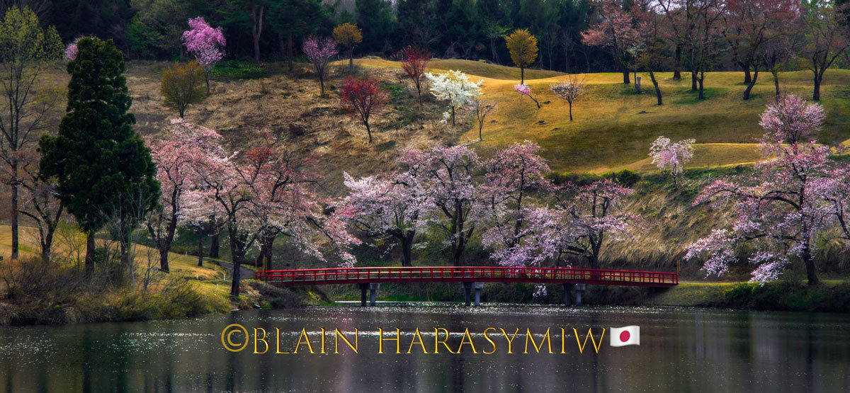 Japan Photo Tours | Blain Harasymiw Photography