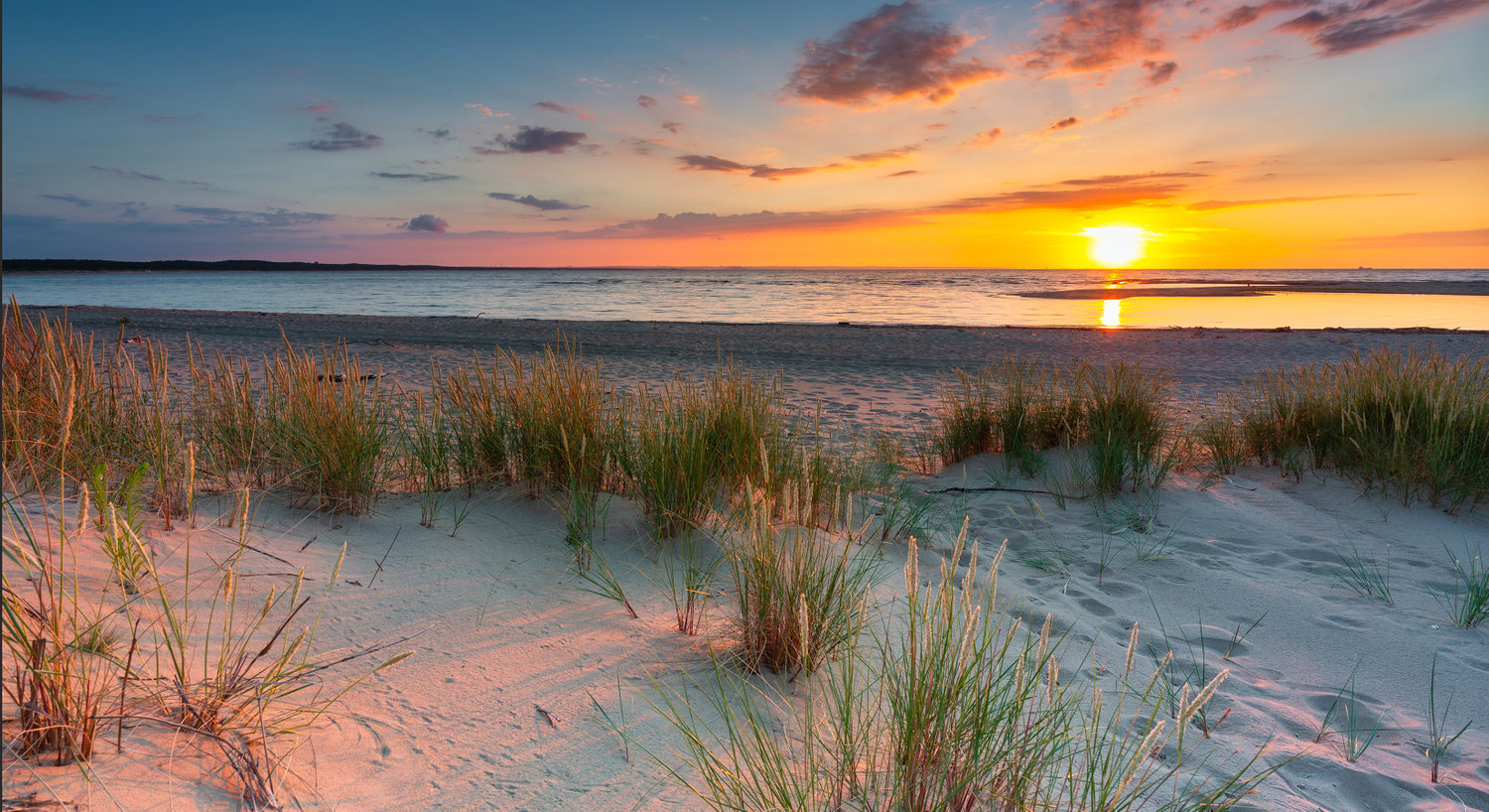 HOME - vincent gaudio