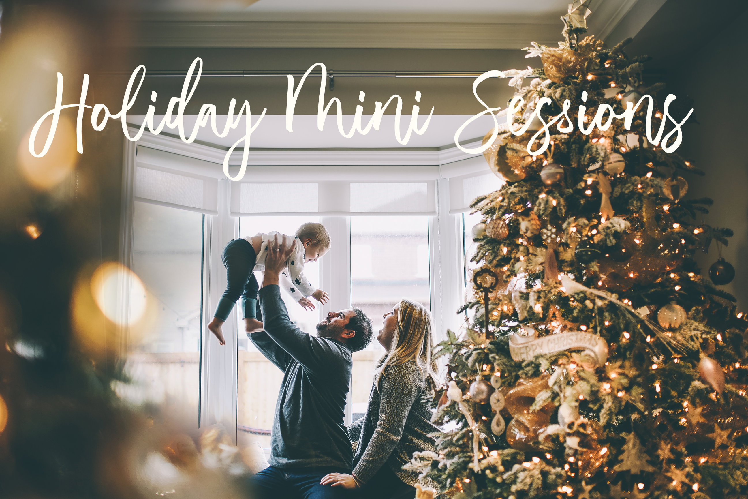 Holiday Mini Sessions at home